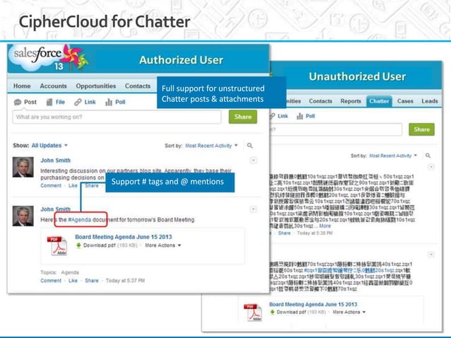 CipherCloud for Salesforce - Solution Overview | PPT