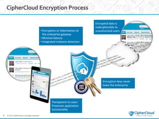 CipherCloud for Salesforce - Solution Overview | PPTX