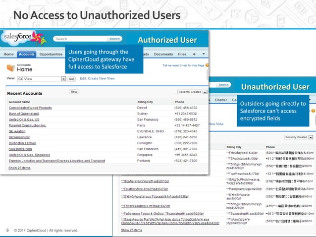 CipherCloud for Salesforce - Solution Overview | PPT
