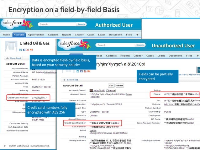 CipherCloud for Salesforce - Solution Overview | PPT