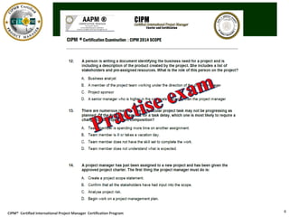 Certified International Project Manager certification program | PDF
