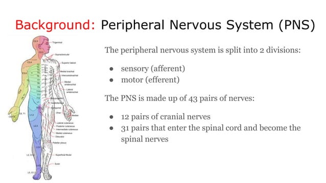 Chemotherapy Induced Peripheral Neuropathy (CIPN): A Song of Ice and ...