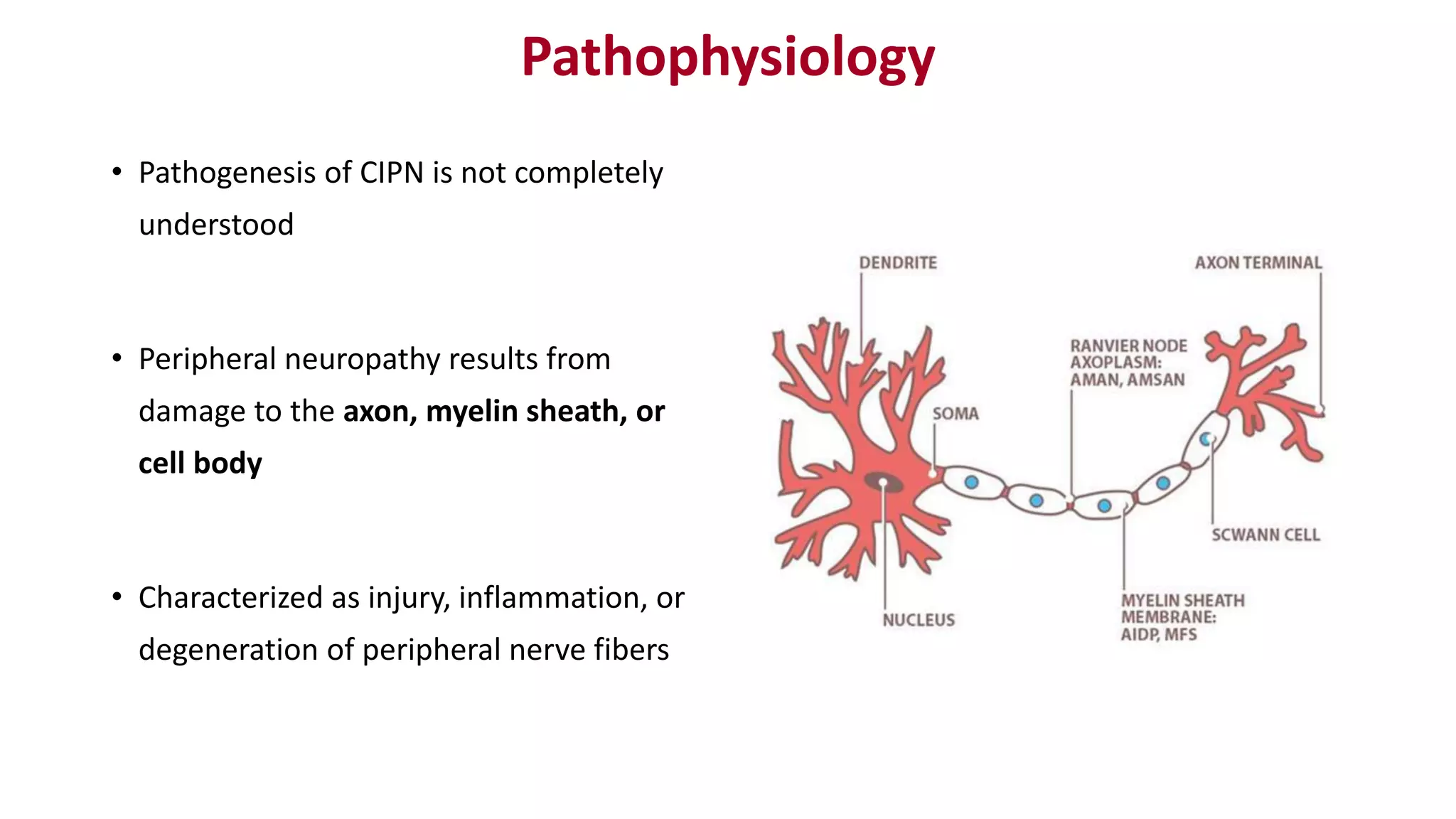 Chemotherapy Induced Peripheral Neuropathy | PDF