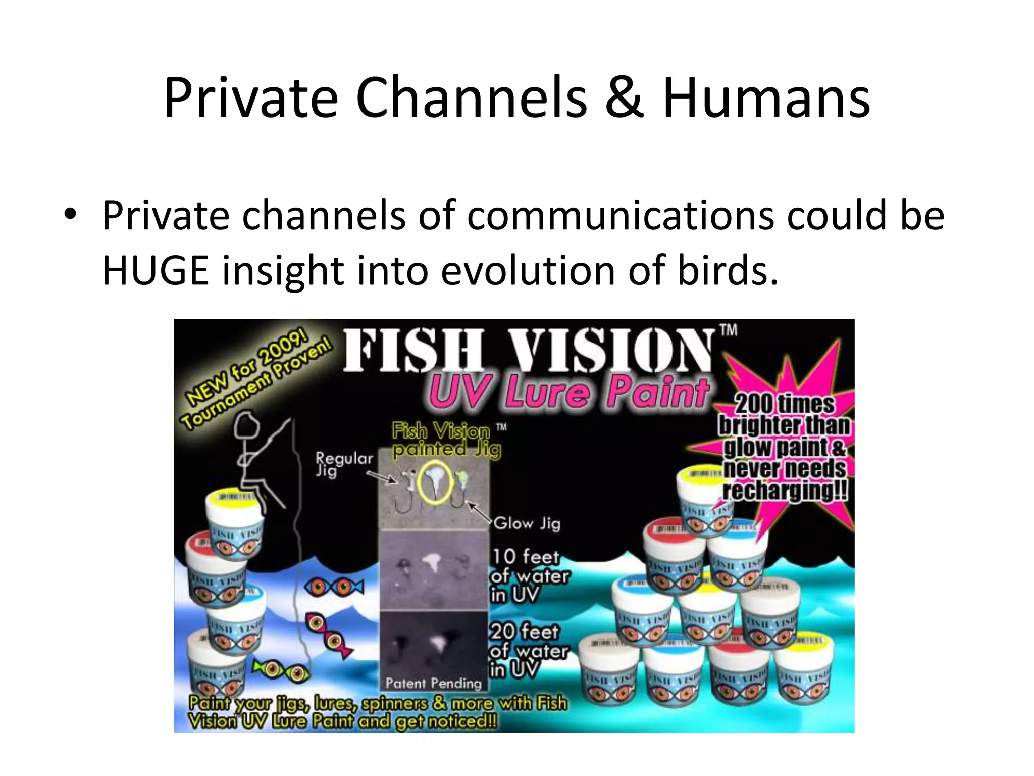 Evolution of Ultraviolet Vision in Birds | PPTX