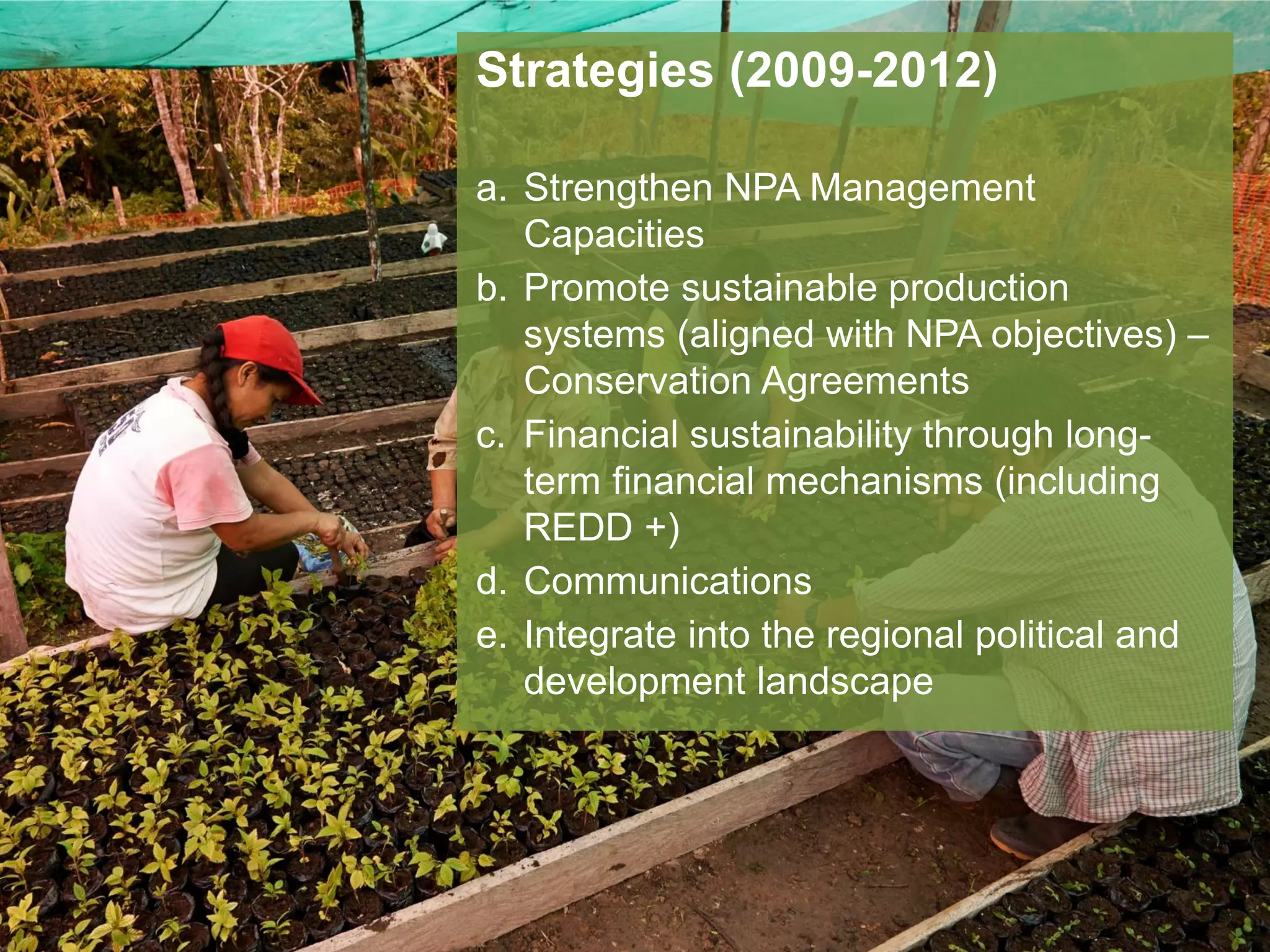 Alto Mayo Case Study: Conservation International Peru | PDF