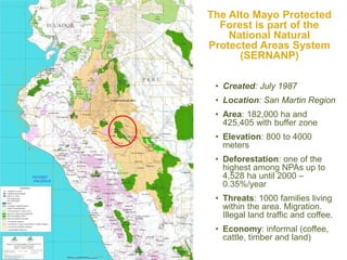 Alto Mayo Case Study: Conservation International Peru | PDF