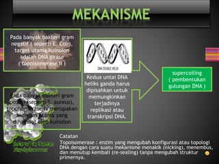 Ciprofloxacin ppt | PPTX