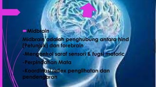 Ciptaan tuhan vs ciptaan manusia | PPTX