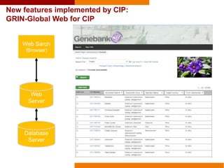GG Wizard Developed by CIP | PPT