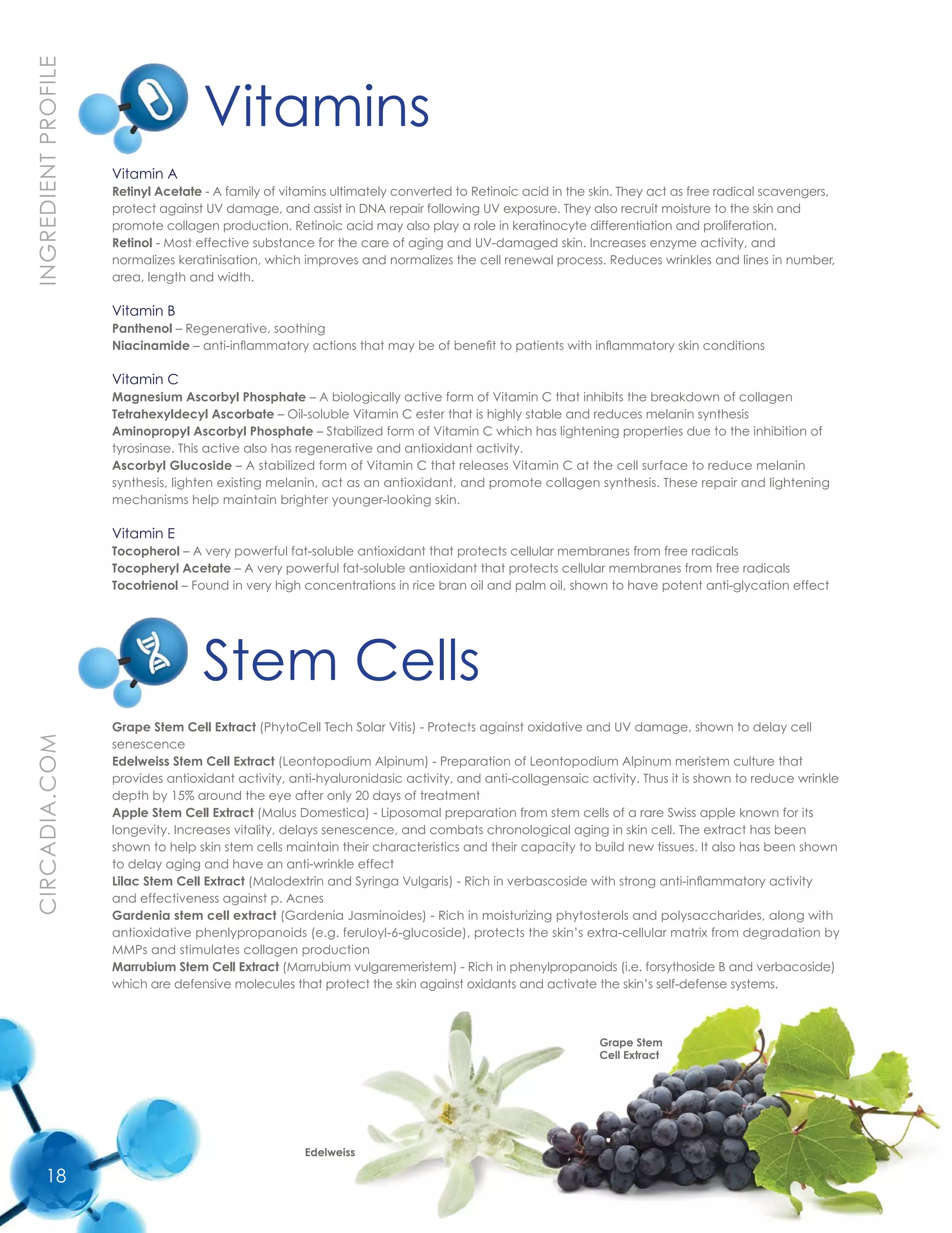 Circadia By Dr. Pugliese Capabilities-brochure | PDF