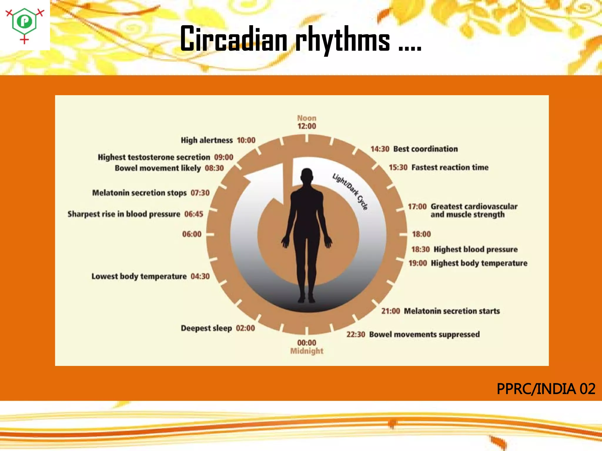 Circadian rhythms | PDF