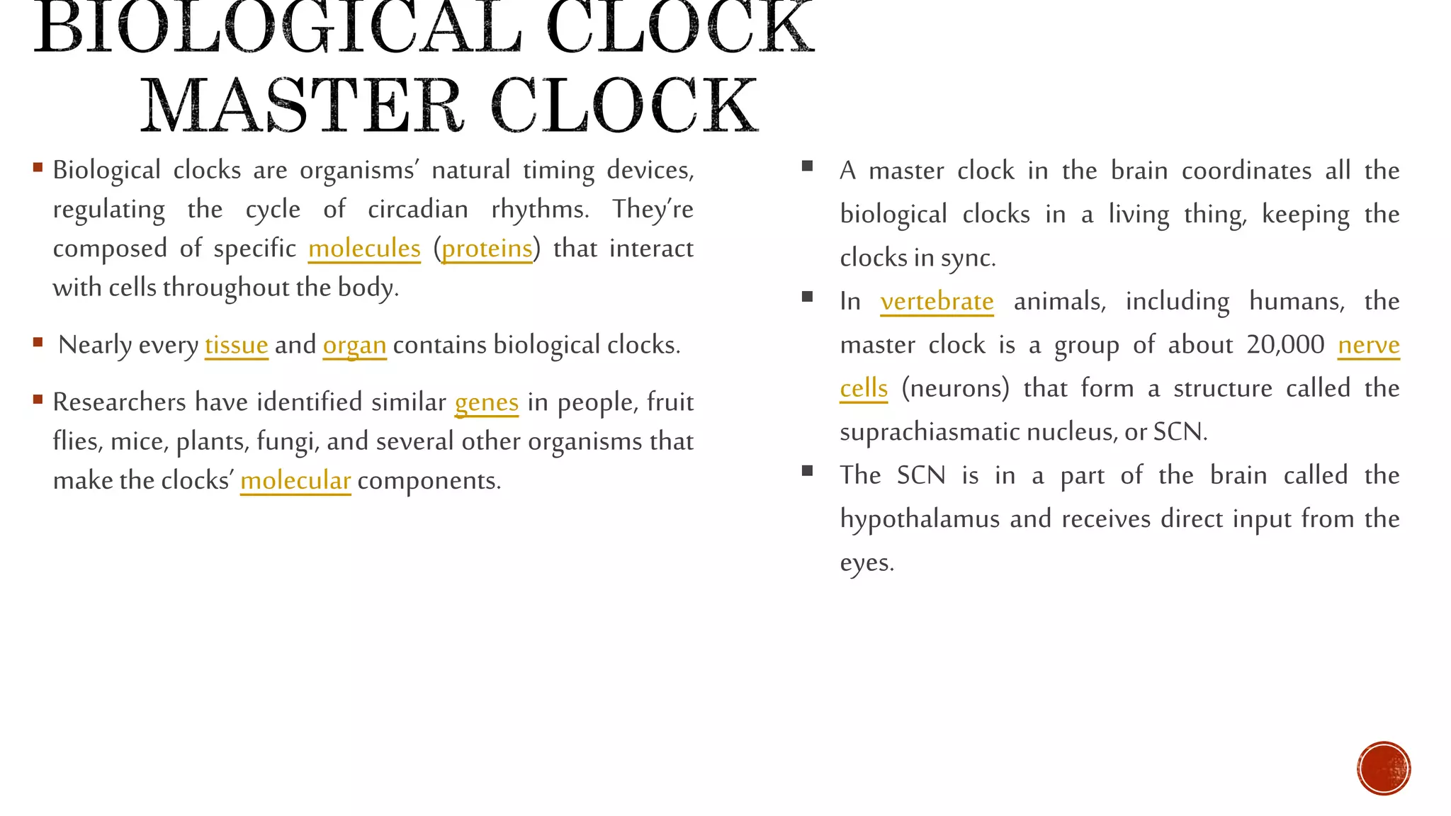 Circadian and Circannual Rhythms | PPTX