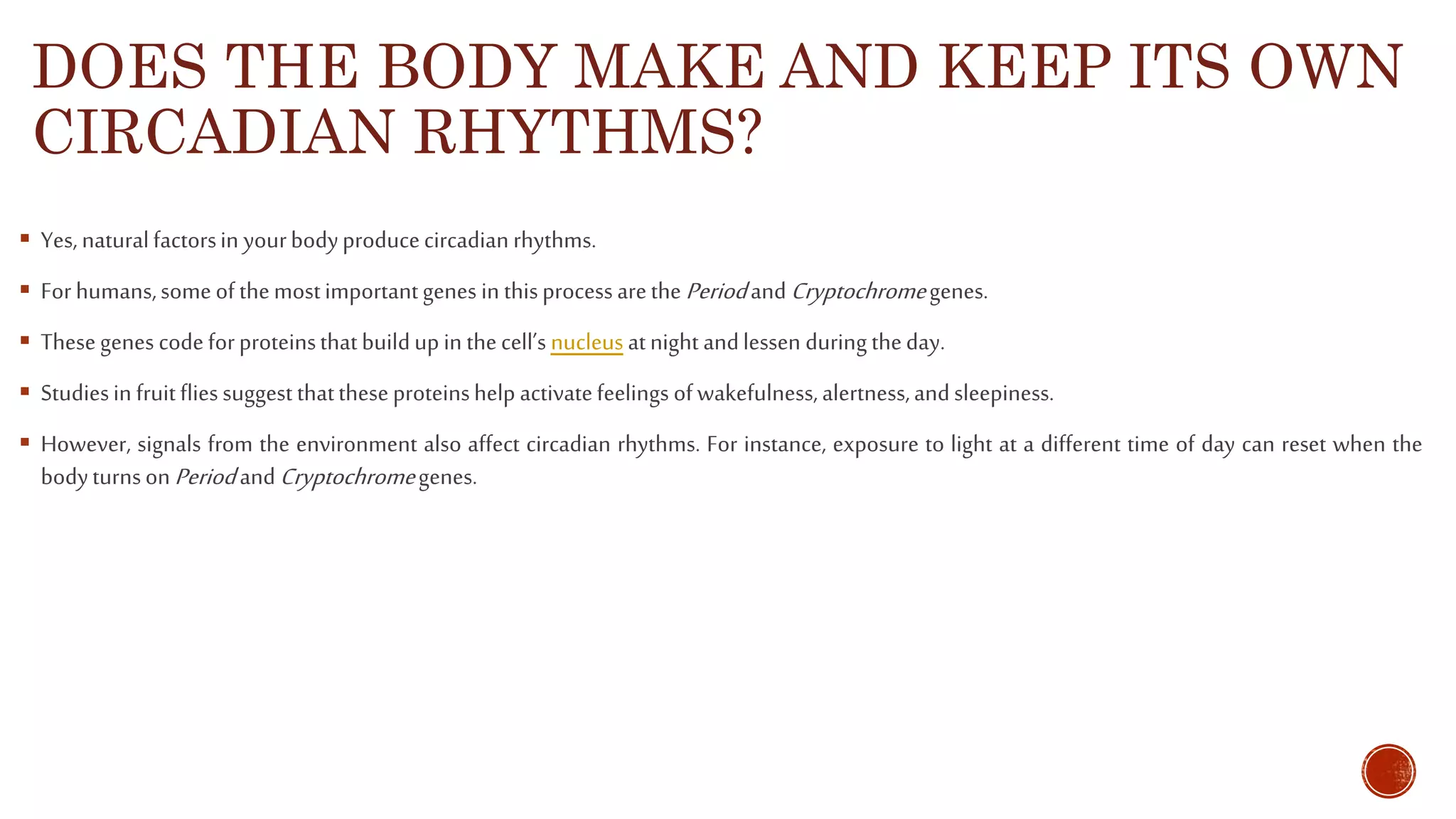 Circadian and Circannual Rhythms | PPTX