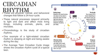 Circadian and Circannual Rhythms | PPTX