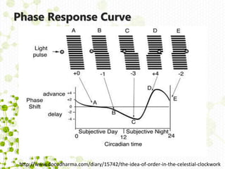 Circadian biology presentation | PDF