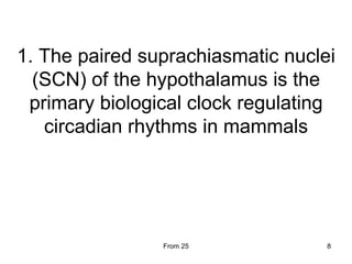 Circadian clock in mammals | PPT