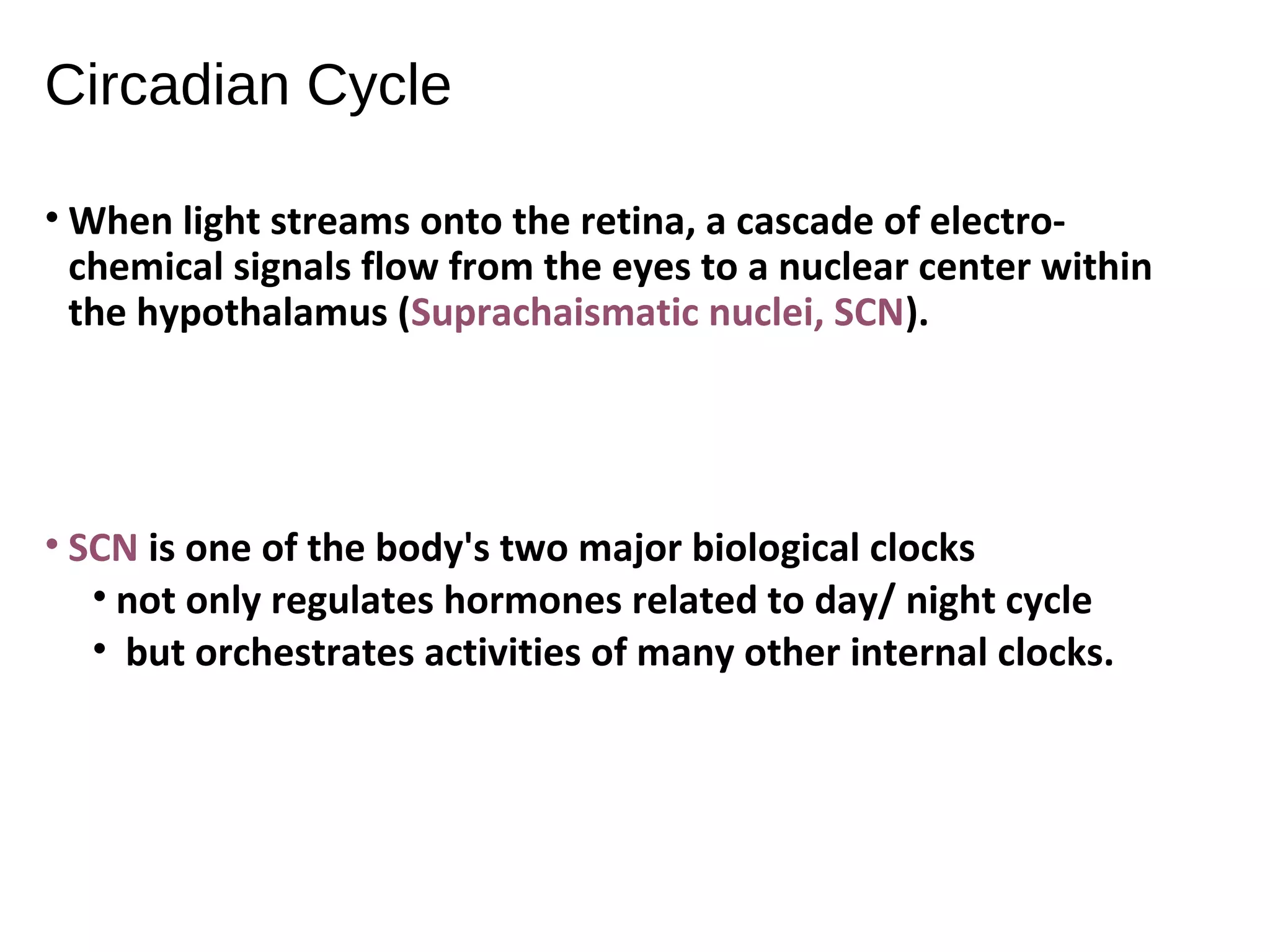 Circadian cycle | PPT