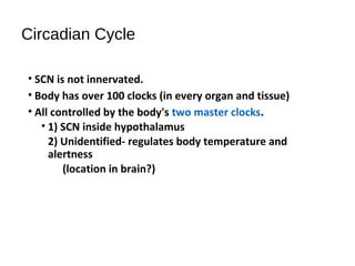Circadian cycle | PPT