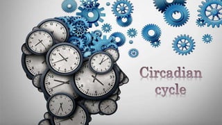 Circadian cycle | PPTX