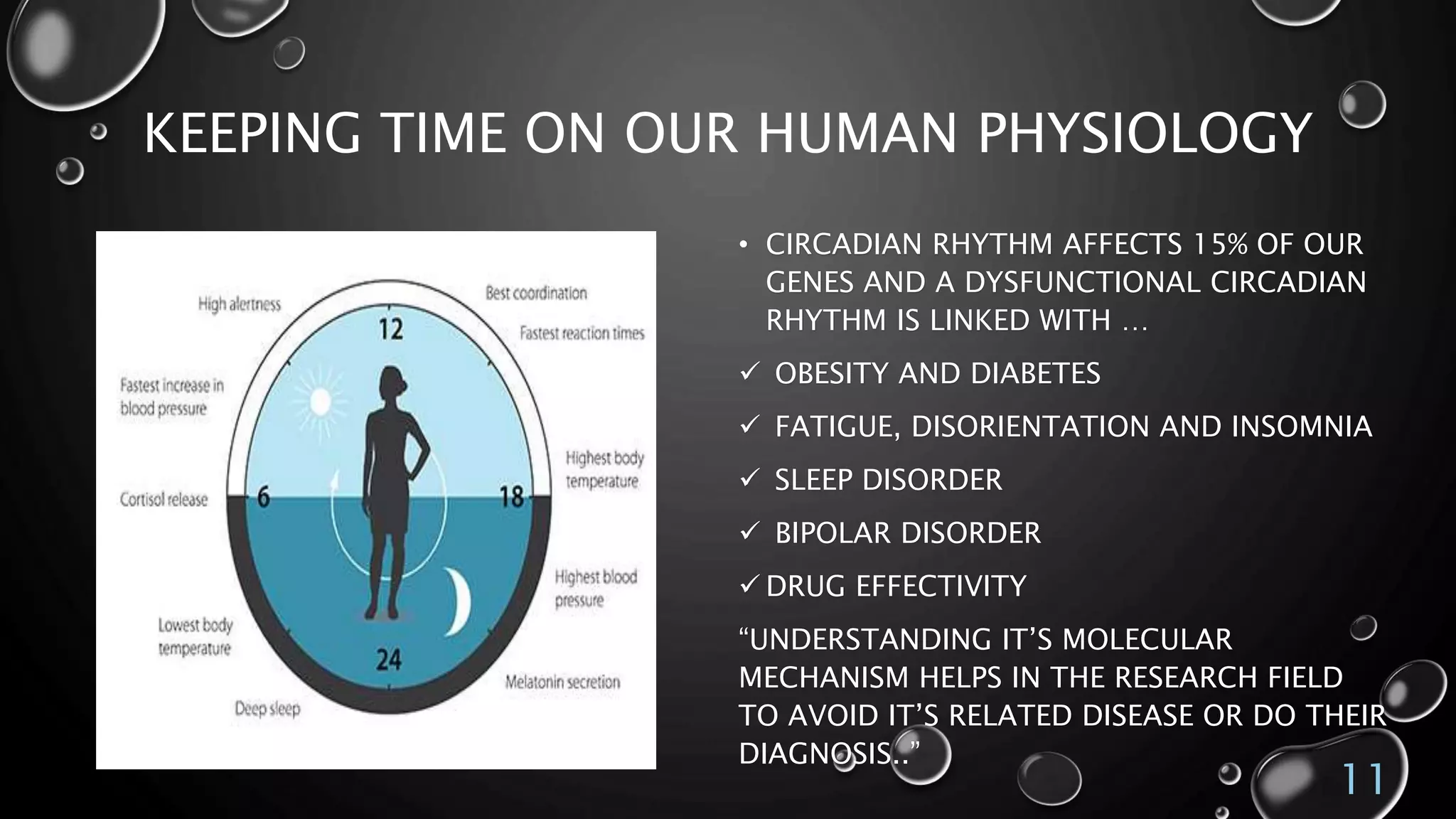 Molecular Mechanism of Circadian rhythm | PPTX