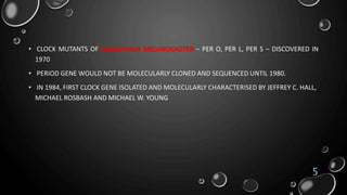 Molecular Mechanism of Circadian rhythm | PPTX