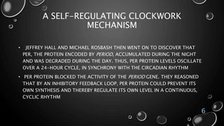 Molecular Mechanism of Circadian rhythm | PPTX