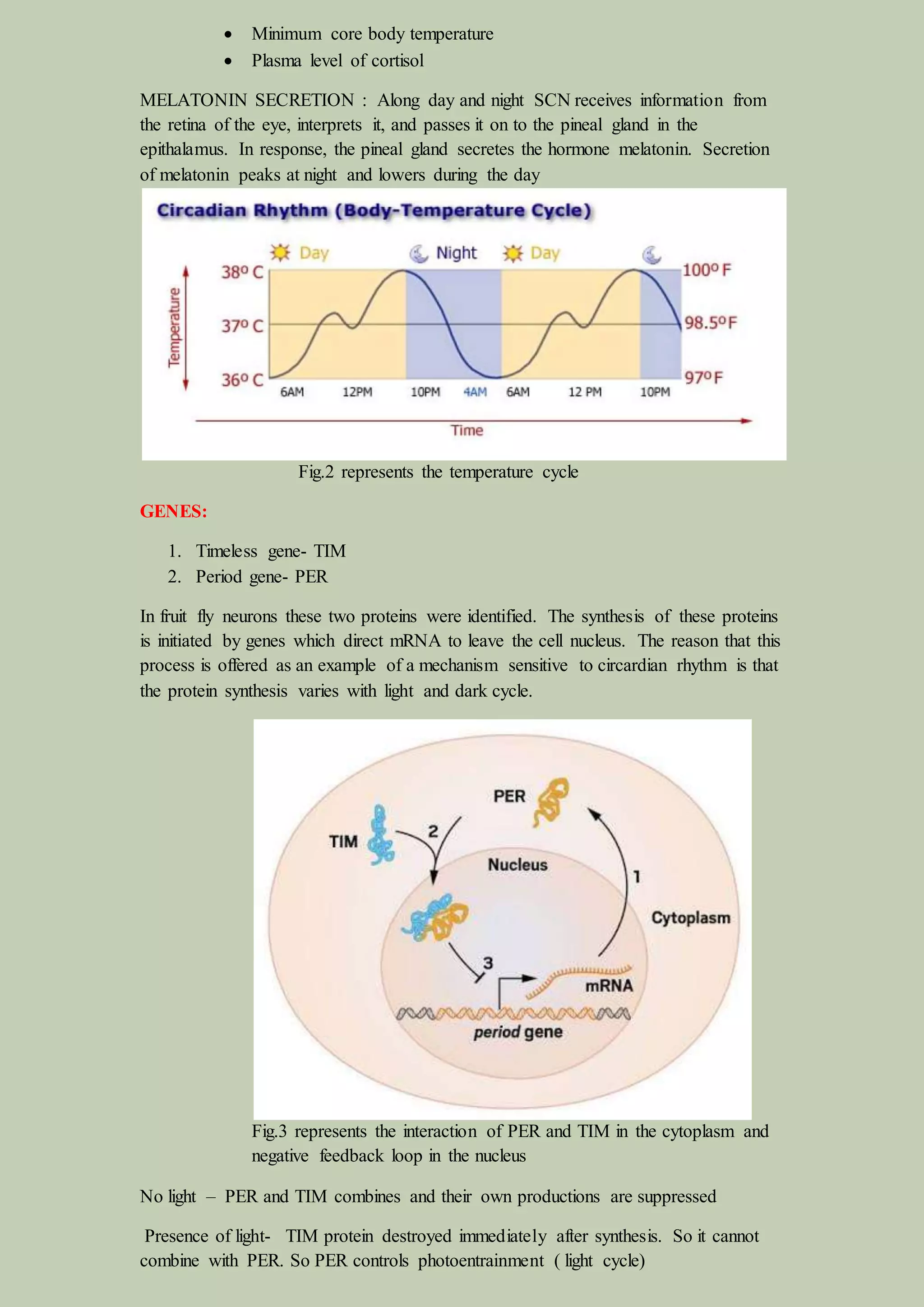 Circadian rhythm | DOCX