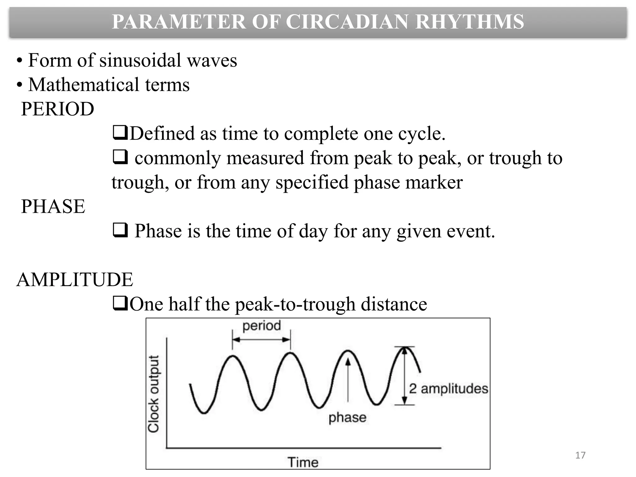 Circadian rhythm | PPTX