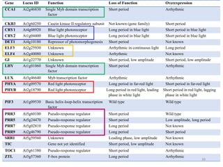 Circadian rhythm | PPTX