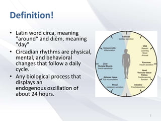 Circadian Rhythm.pptx