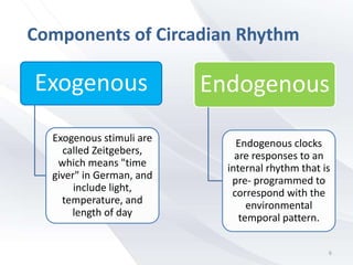 Circadian Rhythm.pptx