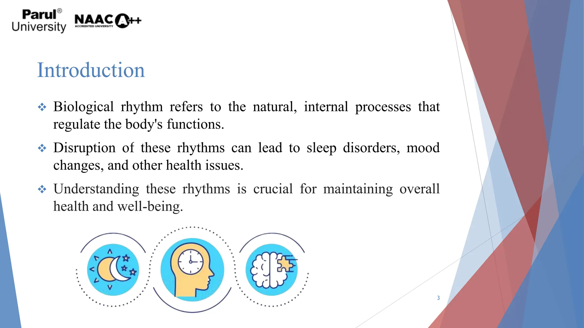 Circadian Rhythm: The Body's Internal Clock | PPTX
