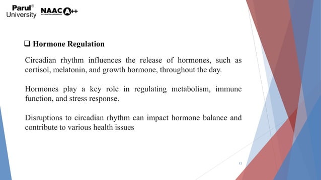 Circadian Rhythm: The Body's Internal Clock | PPT