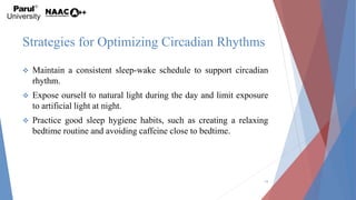 Circadian Rhythm: The Body's Internal Clock | PPTX