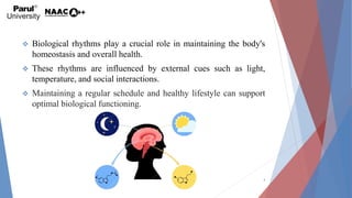 Circadian Rhythm: The Body's Internal Clock | PPTX
