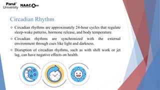 Circadian Rhythm: The Body's Internal Clock | PPTX