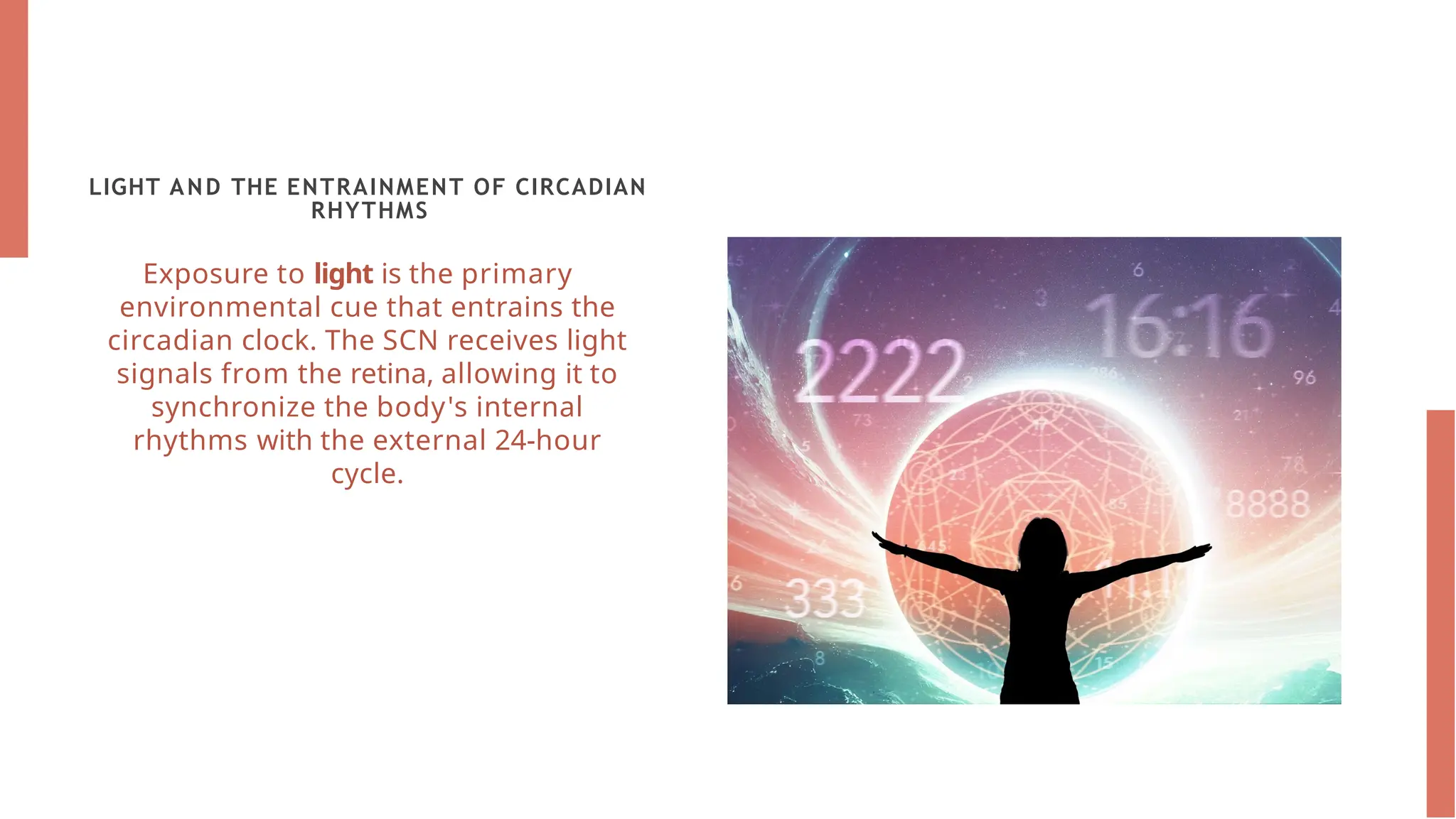 circadian rhythm.........,ppt... health care | PPTX