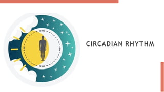 circadian rhythm.........,ppt... health care | PPTX | Endocrine and ...