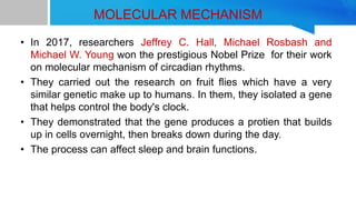 Circadian rhythm- Dr. Bamidele Olubayode | PPT
