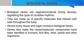 Circadian rhythm- Dr. Bamidele Olubayode | PPT