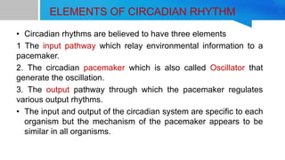 Circadian rhythm- Dr. Bamidele Olubayode | PPT