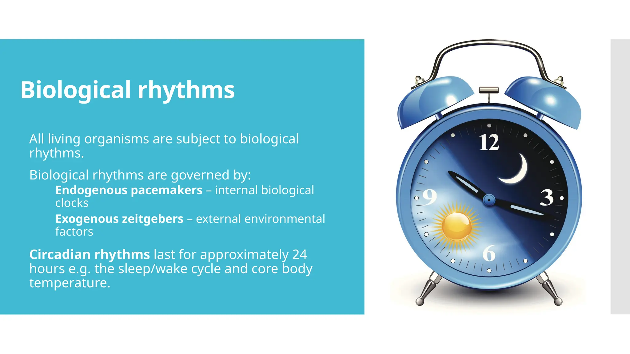 Circadian rhythms AQA A LEVEL PSYCHOLOGY BIOPSYCHOLOGY | PPTX