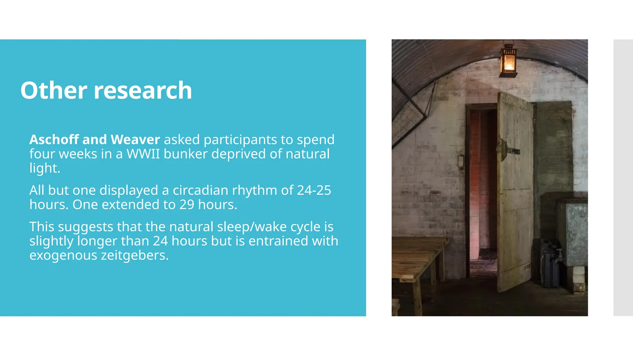 Circadian rhythms AQA A LEVEL PSYCHOLOGY BIOPSYCHOLOGY | PPTX