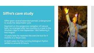 Circadian rhythms AQA A LEVEL PSYCHOLOGY BIOPSYCHOLOGY | PPTX