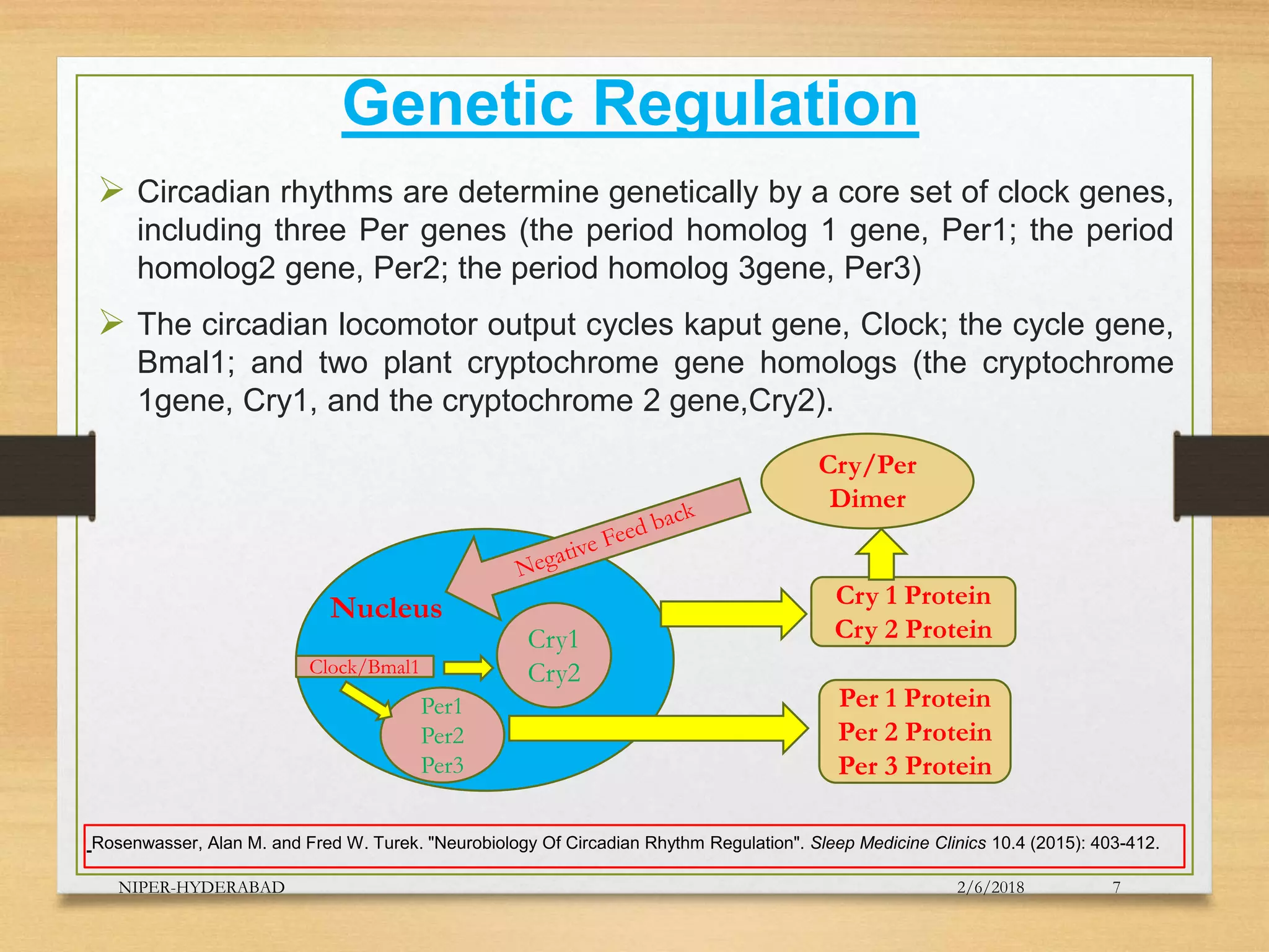Circadian rhythms and related disorders | PPTX