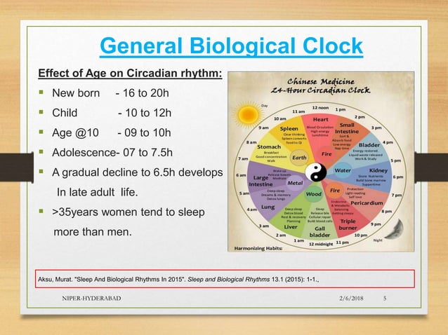 Circadian rhythms and related disorders | PPTX | Sleep Disorders ...