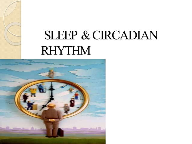 Circadian Rhytm.pptx