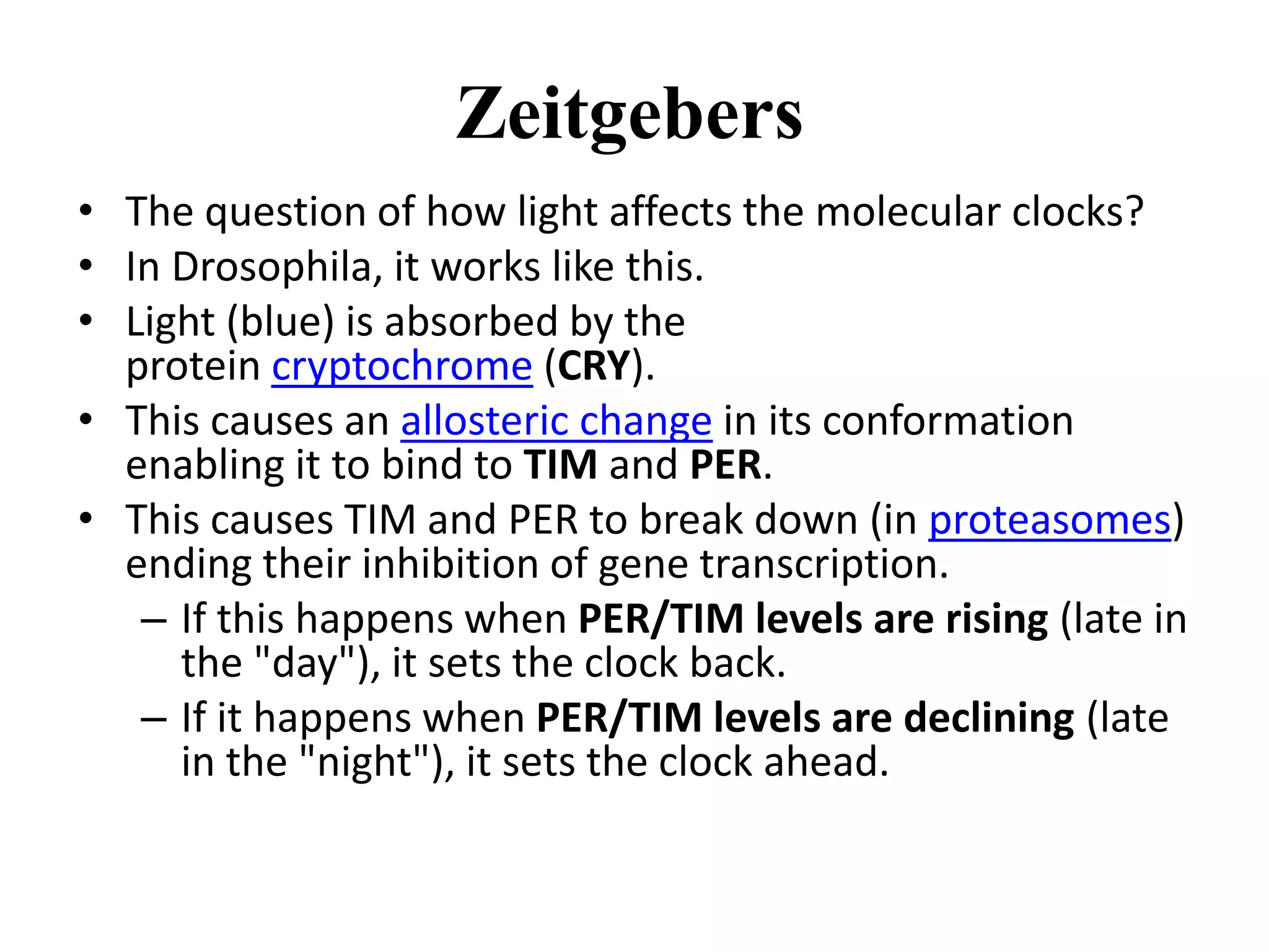Circadian Rhythm (BSc Zoology) | PPTX