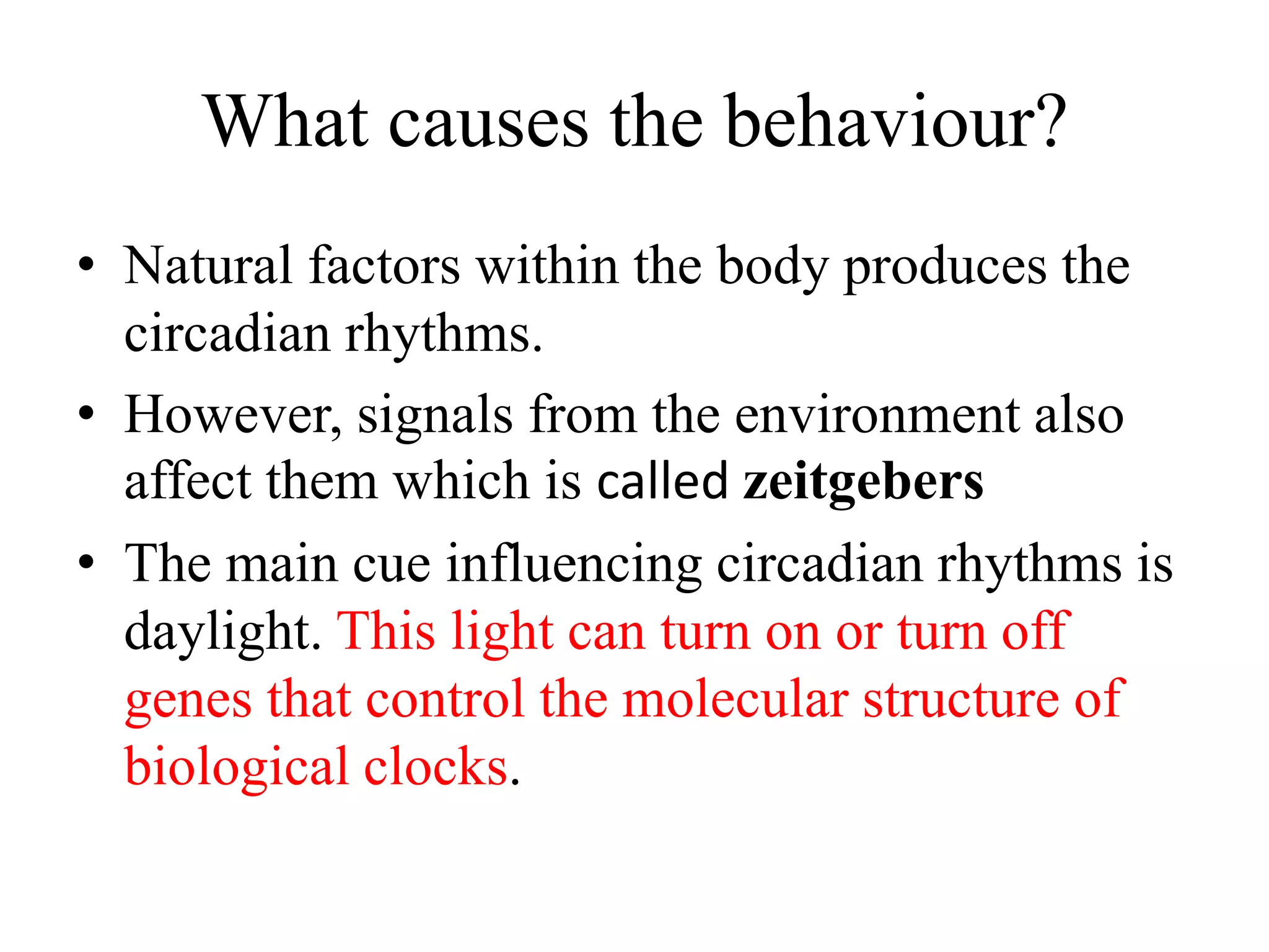 Circadian Rhythm (BSc Zoology) | PPTX