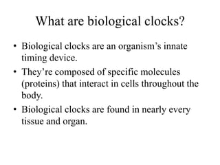 Circadian Rhythm (BSc Zoology) | PPTX